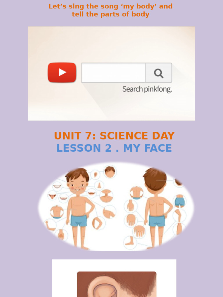Body Parts in Unit 7 Lesson 2 | PDF