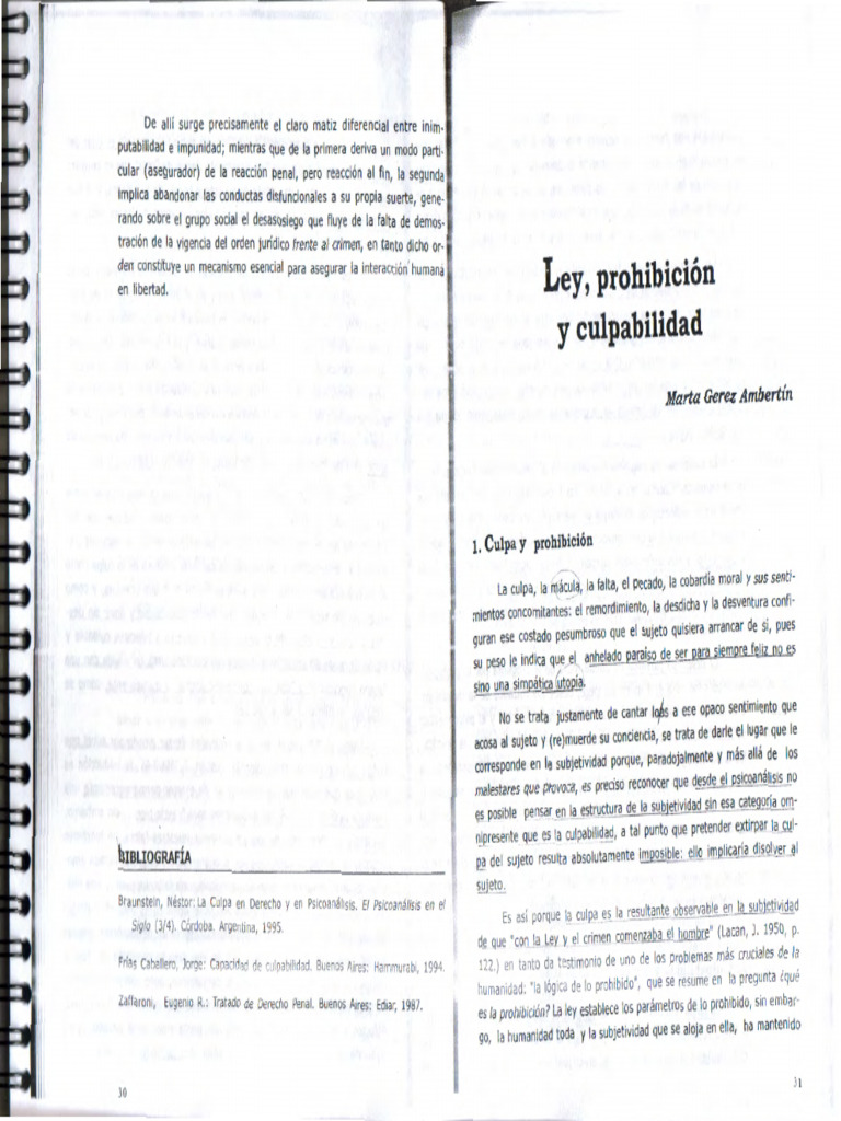 Gerez Ambertin, M. Ley, Prohibición y Culpabilidad. | PDF | Psicoanálisis | Sicología