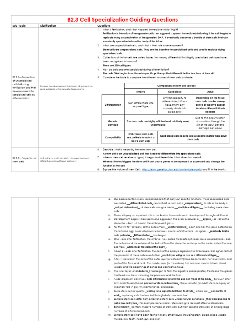 B2.3 Cell Specialization Guiding Questions | PDF | Cell Potency | Stem Cell