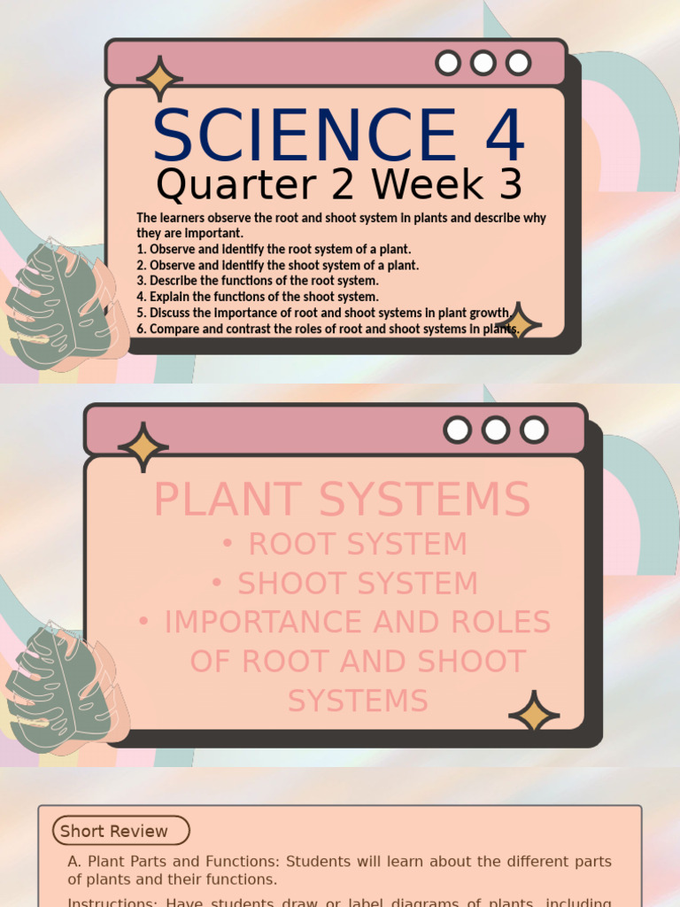 Science 4 Quarter 2 Week | PDF | Root | Plants