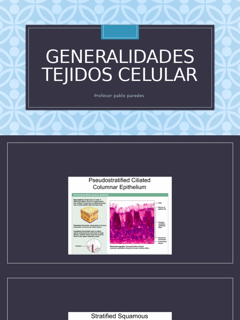 Generalidades Tejidos Celular | PDF