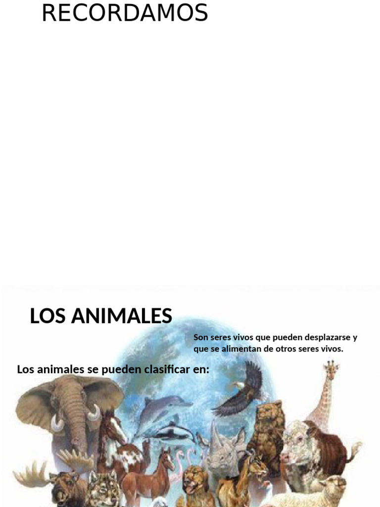 CLASIFICACIÓN DE LOS ANIMALES | PDF