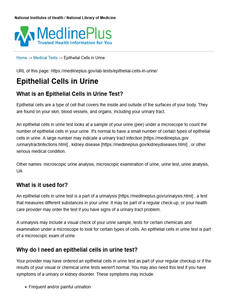 Epithelial Cells in Urine Test Overview | PDF | Urine | Urinary System