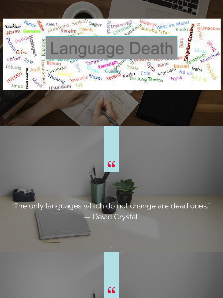 My Report On Language Death | PDF | Linguistics | Human Communication