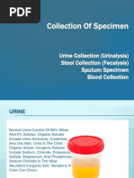Sterile Urine Specimen Collection Guide | PDF | Urine | Infection