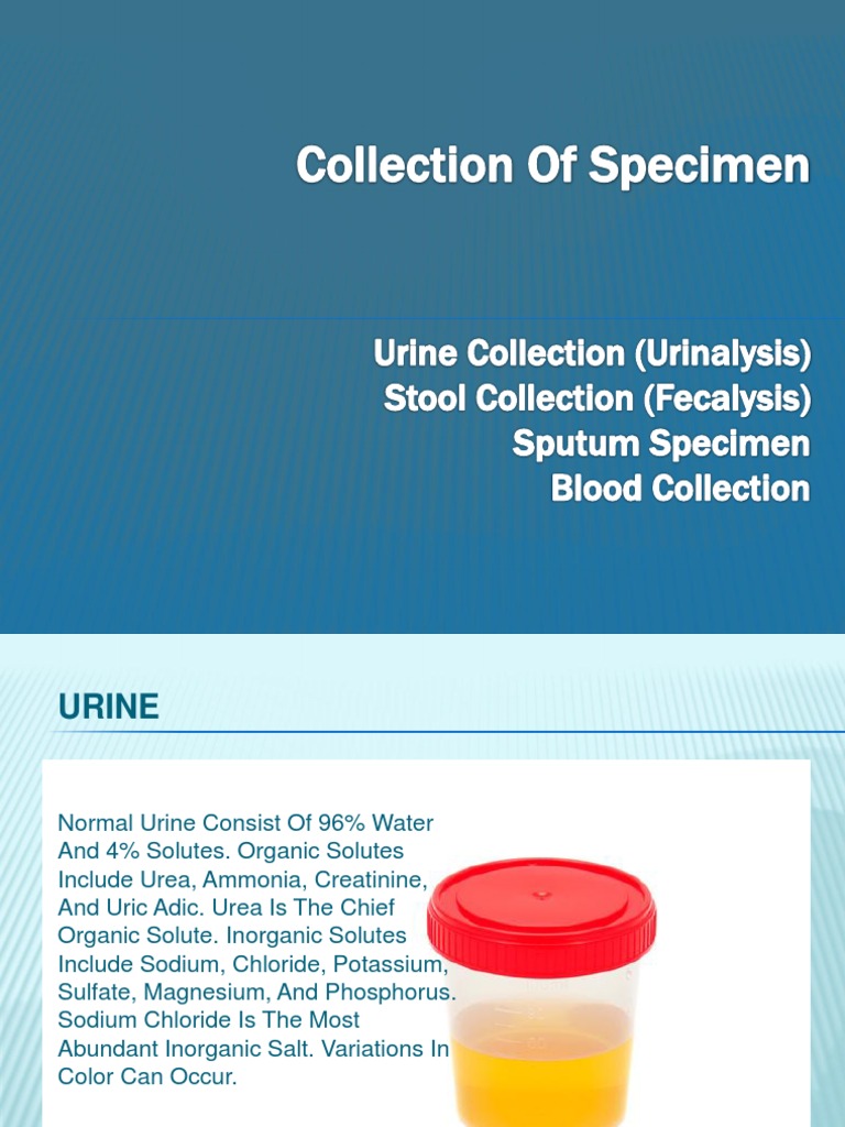 Collection of Specimen | PDF | Human Feces | Feces