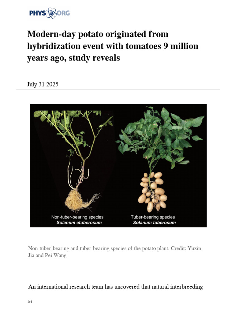 2025 07 Modern Day Potato Hybridization Event 1 | PDF | Potato | Evolution