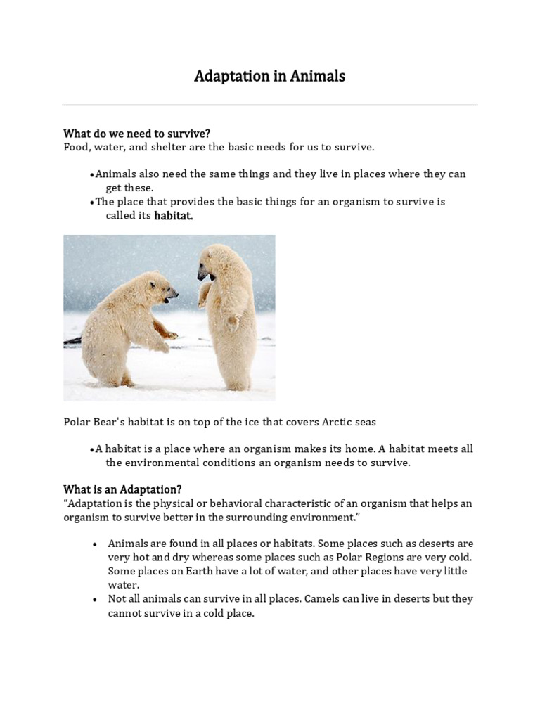 Animal Adaptations for Survival | PDF | Zoology | Biology