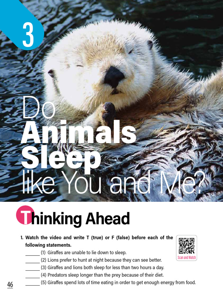 Animal Sleep Habits Explained | PDF | Sleep | Giraffe