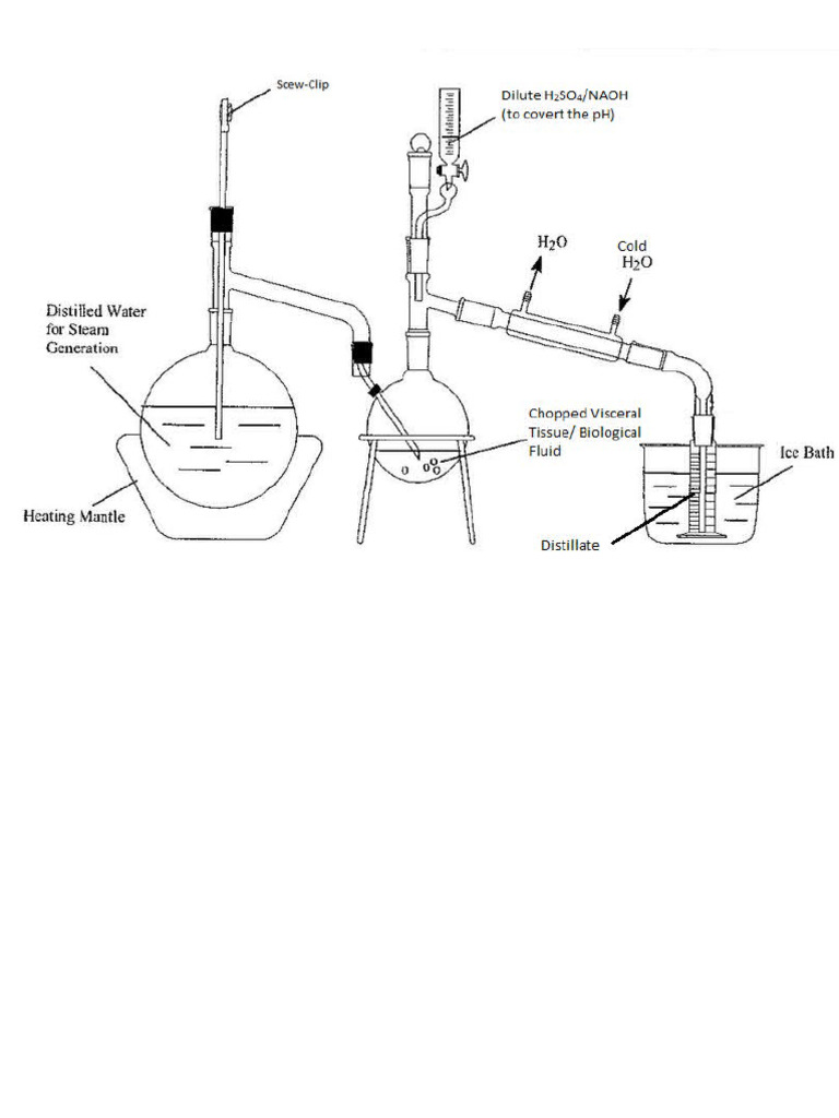 Steam Distillation Apparatus | PDF