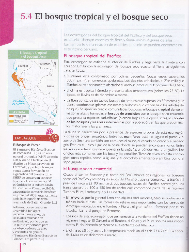 BOSQUE SECO - BOSQUE TROPICAL - Flora - Fauna | PDF | Los bosques