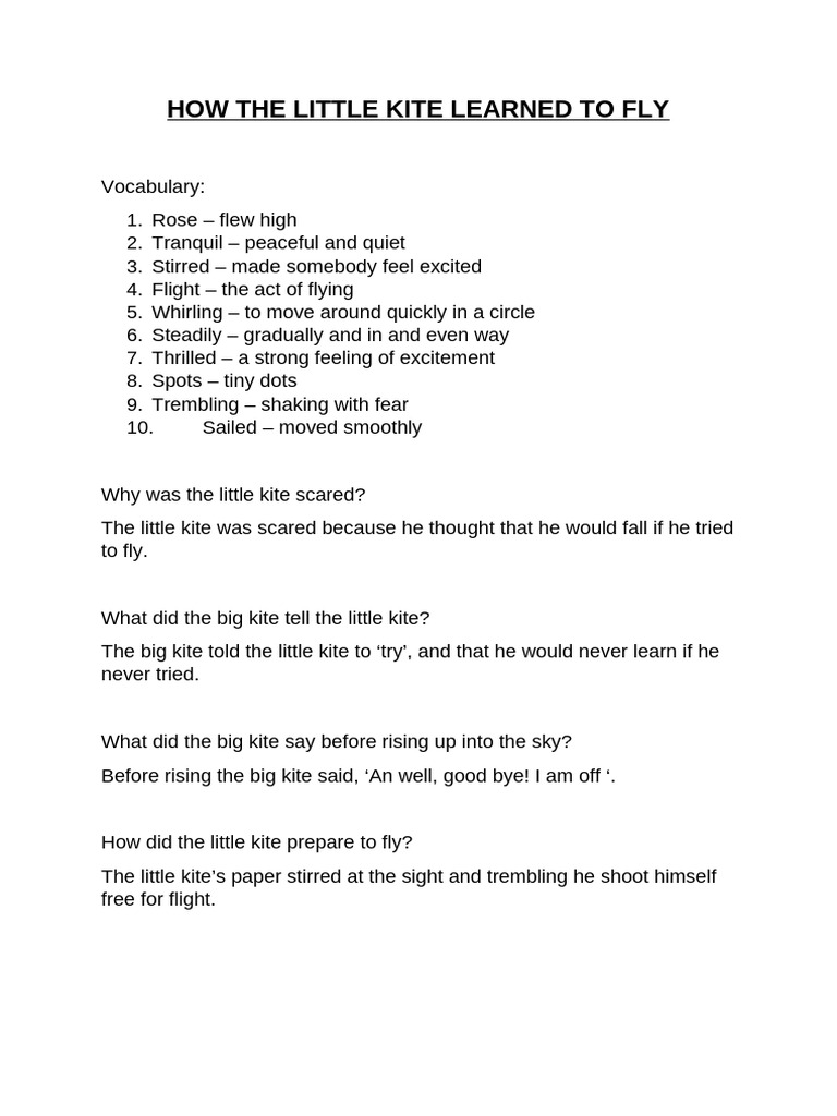 The Little Kite's Journey to Flight | PDF | Kite