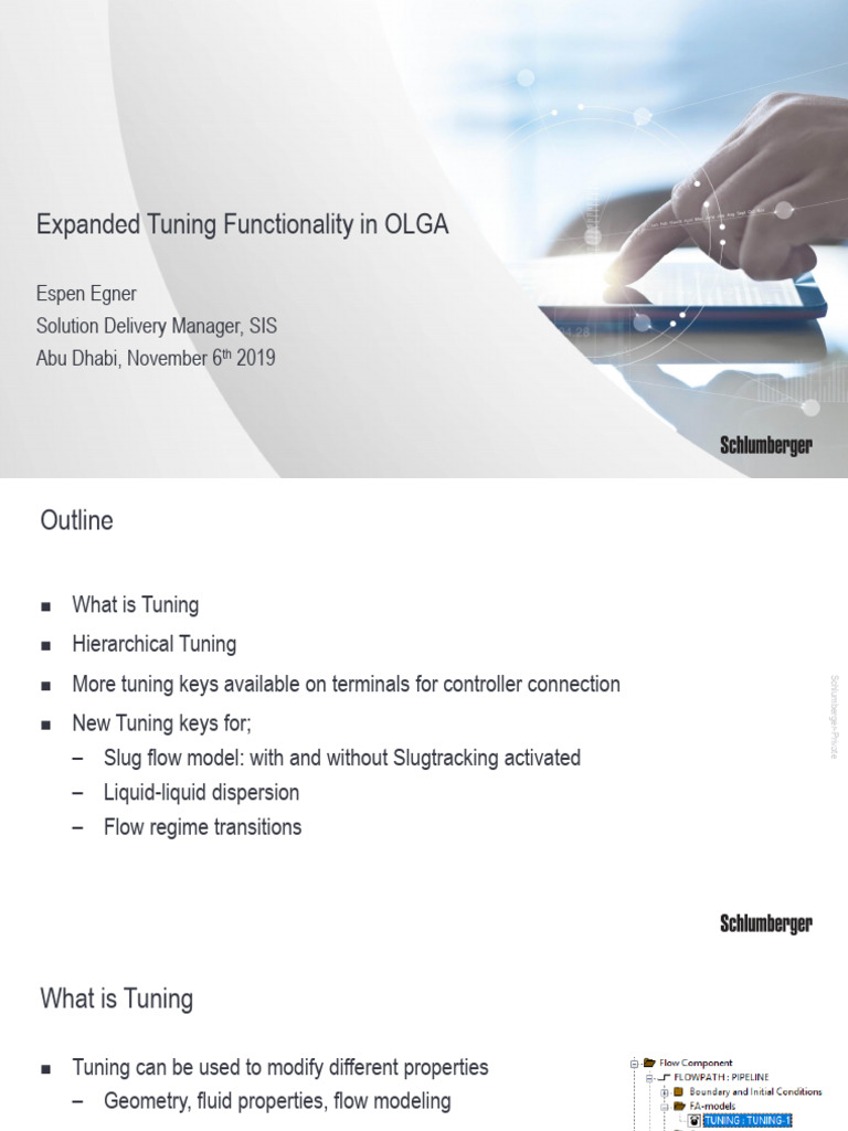 10-Expanded Tuning Functionality in OLGA | PDF | Viscosity | Gases