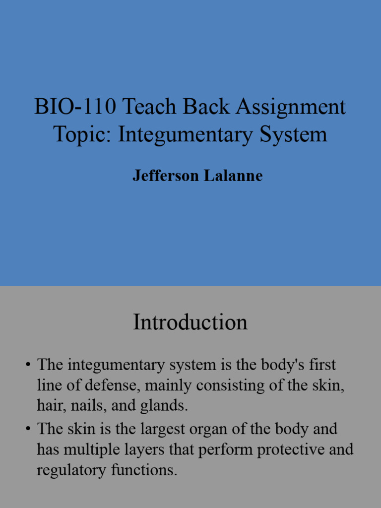 Integumentary System and Homeostasis | PDF