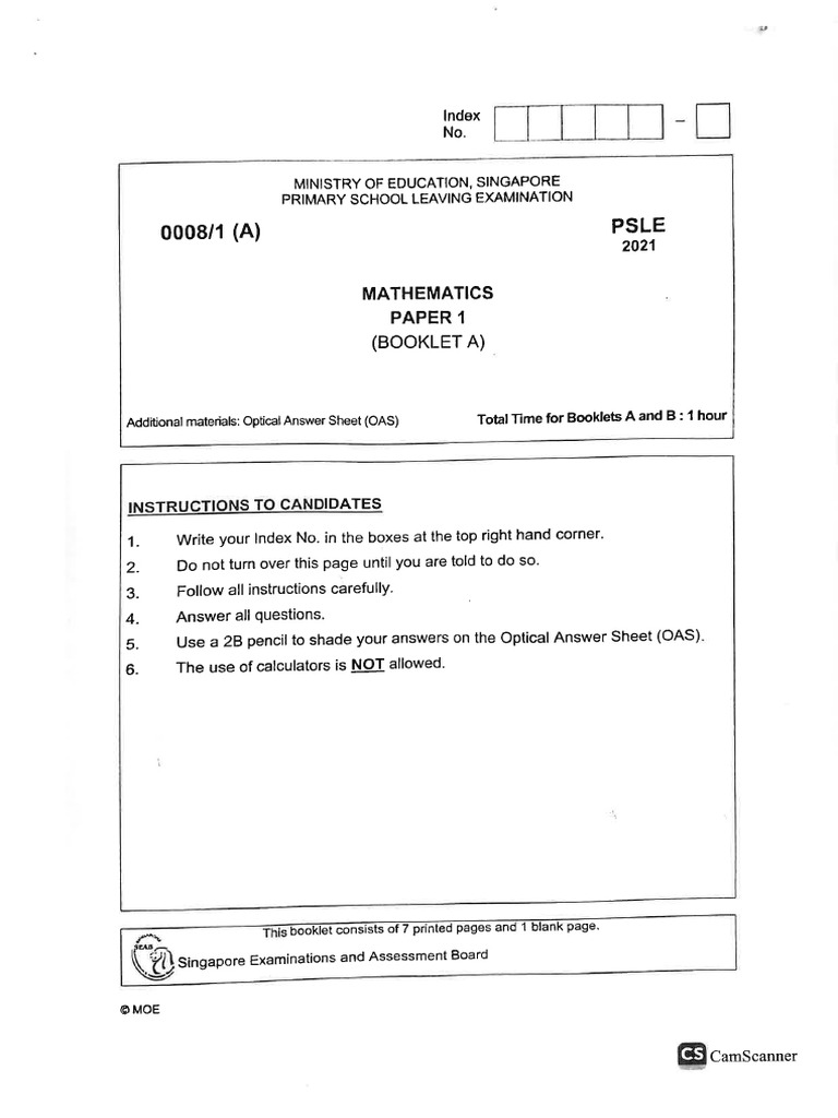 2021 PSLE Paper 1 Booklet A | PDF