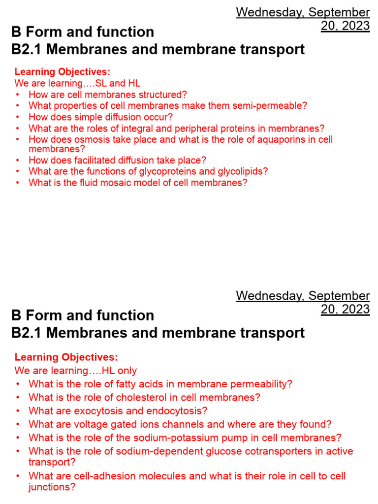 B2.1 Membranes and membrane transport | PDF | Cell Membrane | Cell Adhesion