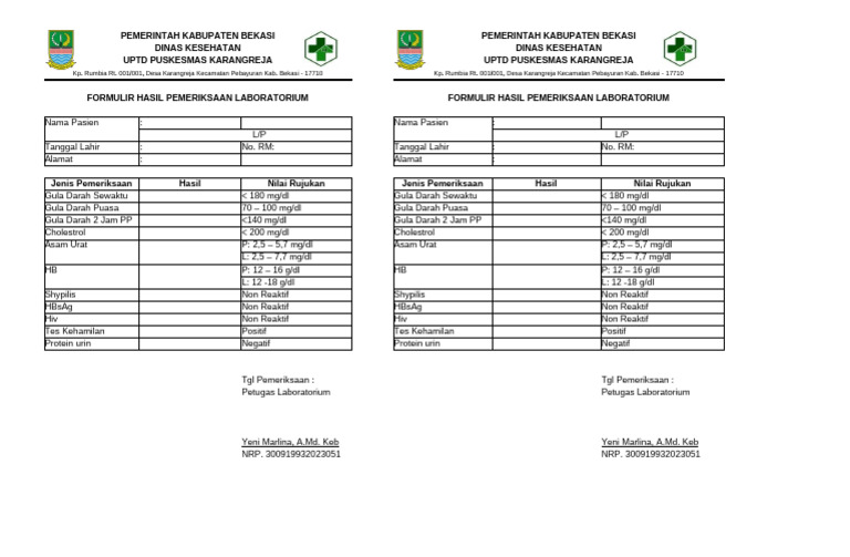 Formulir Hasil Pemeriksaan Laboratorium | PDF