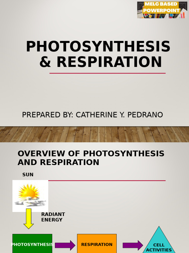 Photosynthesis and Cellular Respiration Explained | PDF ...