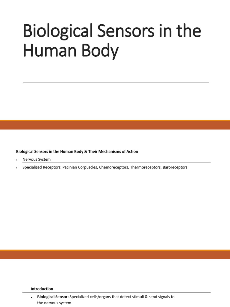 Biological Sensors in the Human Body_Unit 3 | PDF | Stimulus ...