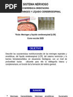 El Saco Dural Humano | PDF | Médula espinal | Anatomía