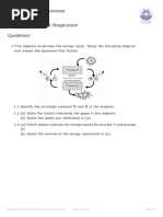 Exam Fever | PDF