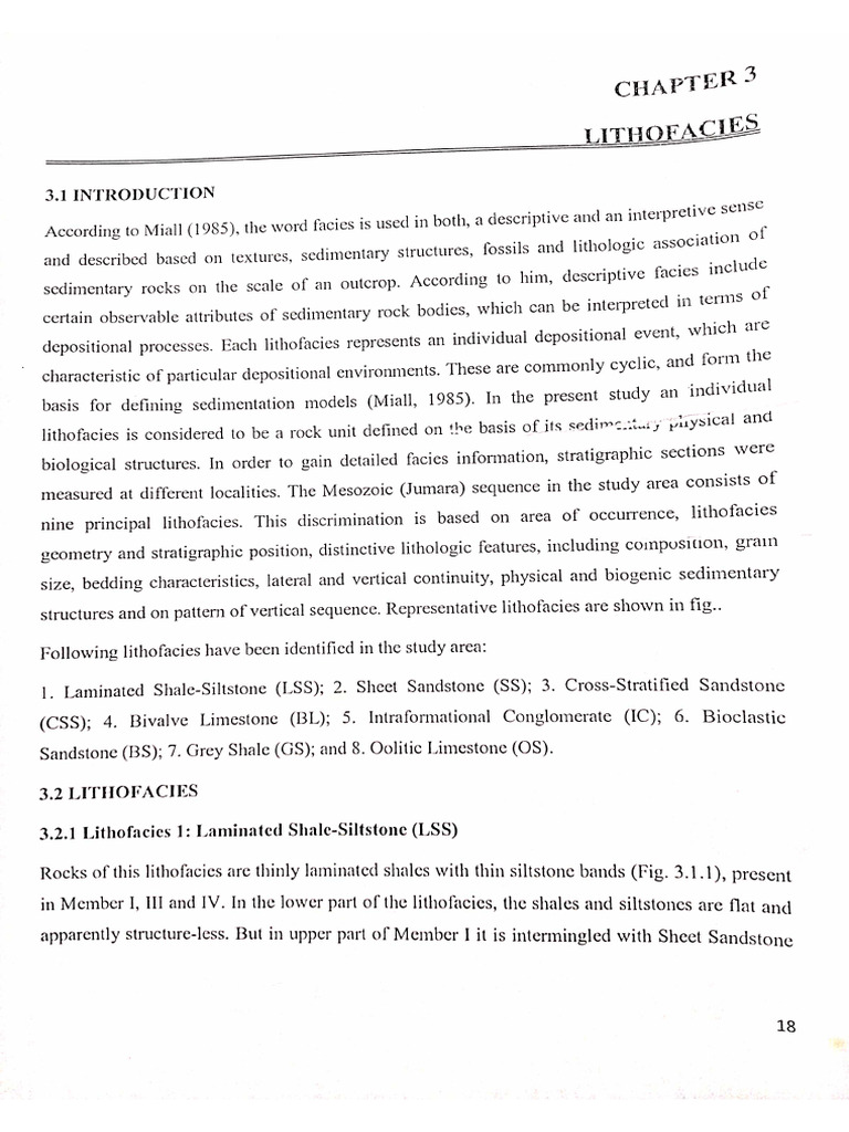 Lithofacies | PDF