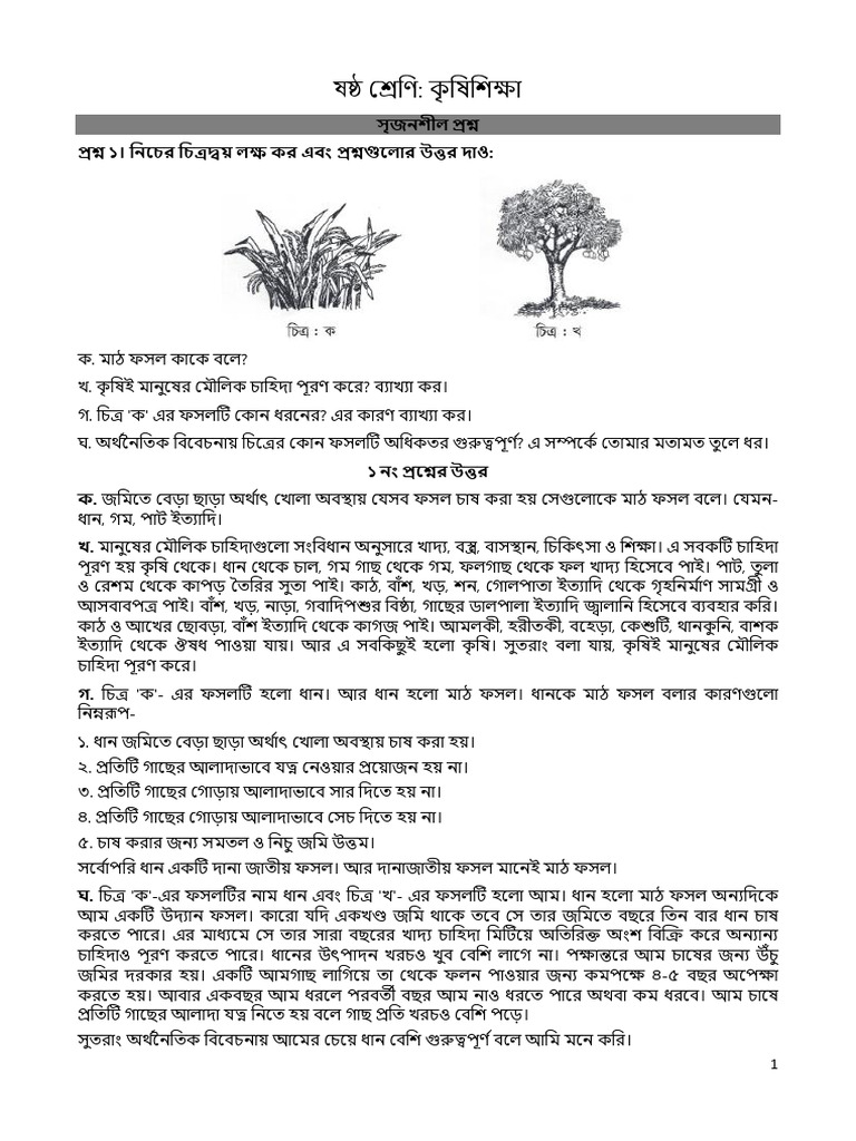 Class 6 Krishi | PDF