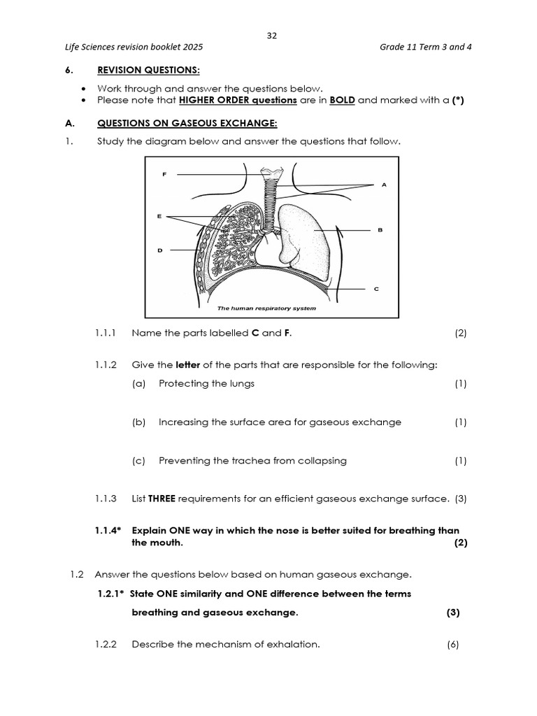 Grade 11 Life Sciences Revision Material Term 3 and 4 - 2025-32 | PDF