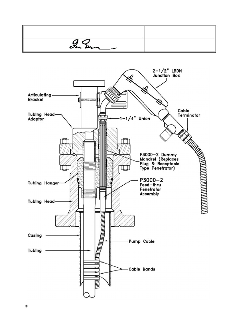 P3000-2DM Pump Cable Installation Guide | PDF | Electrical Connector ...