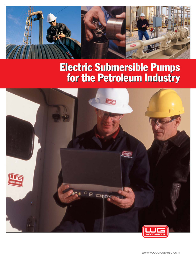 Wood Group ESP: Electric Submersible Pumps | PDF | Pump | Mechanical ...