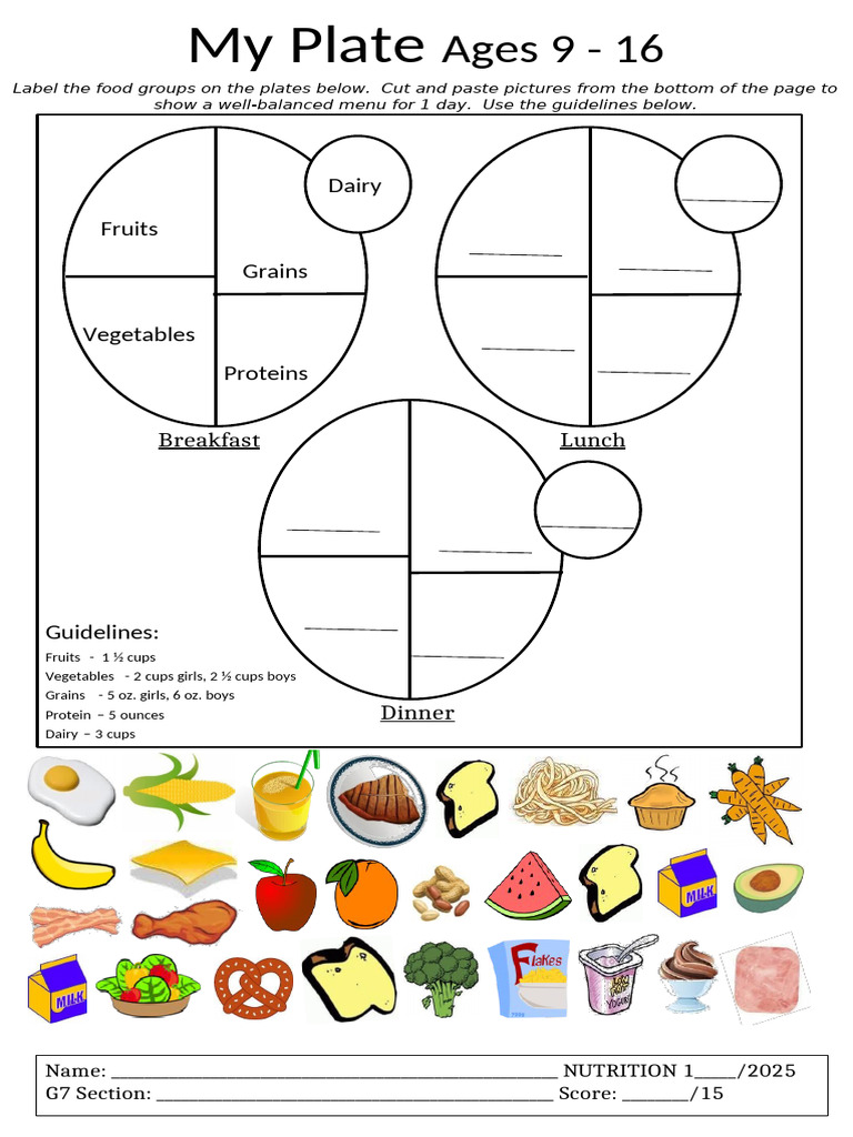 My Plate Ages 9 16 Activity | PDF | Foods | Cereals