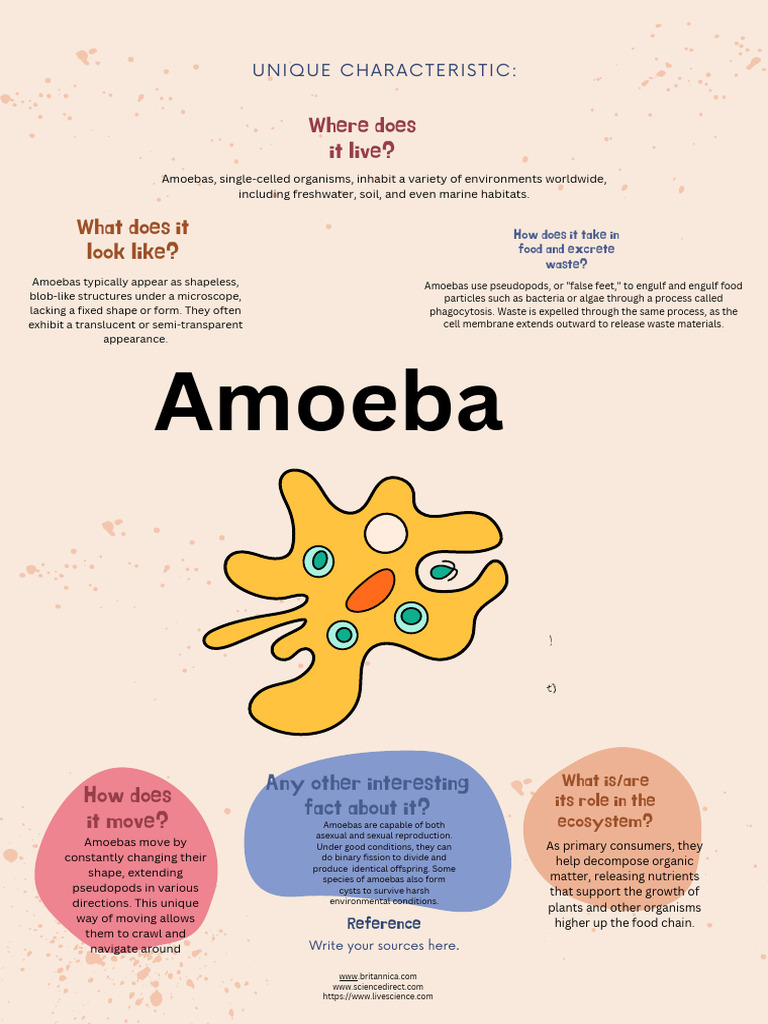 Single Celled Organism Activity Science Poster in Peach Denim Blue Hand ...