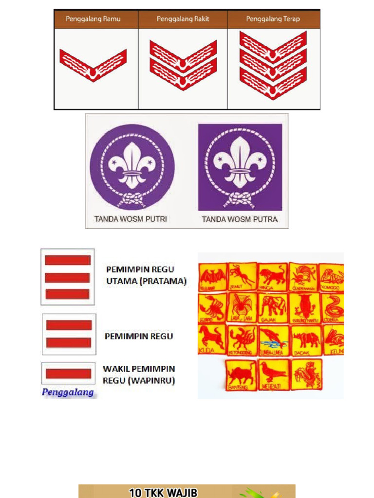 Atribut Pramuka | PDF
