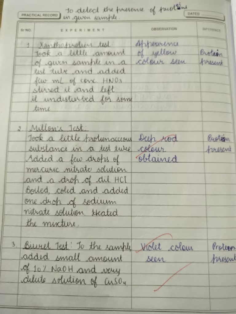Presence of Protein Class 12th Practical | PDF