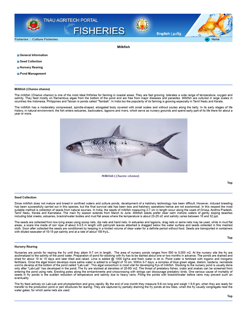 Agritech Tnau Ac in Fishery Fish Cul Brackish Milkfish HTML... | PDF ...