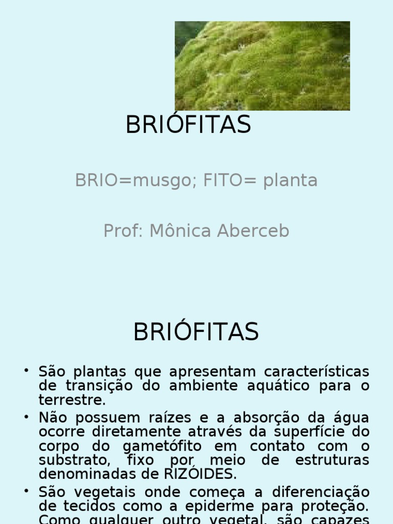 BRIÓFITAS | PDF