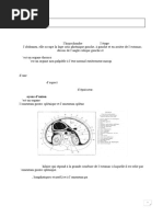 Anatomie2an-Systeme Porte | PDF | Foie | Pancréas