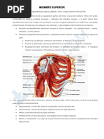 A34 Compartimentos Musculares Del Brazo y Antebrazo DR Daniel Lopez ...