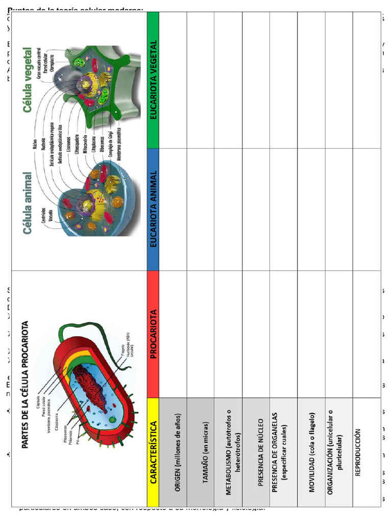 Evolución celular y cuadro comparativo | PDF
