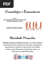 Exercícios de Cadeia Cinética Fechada Vs Exercícios de Cadeia Cinética ...