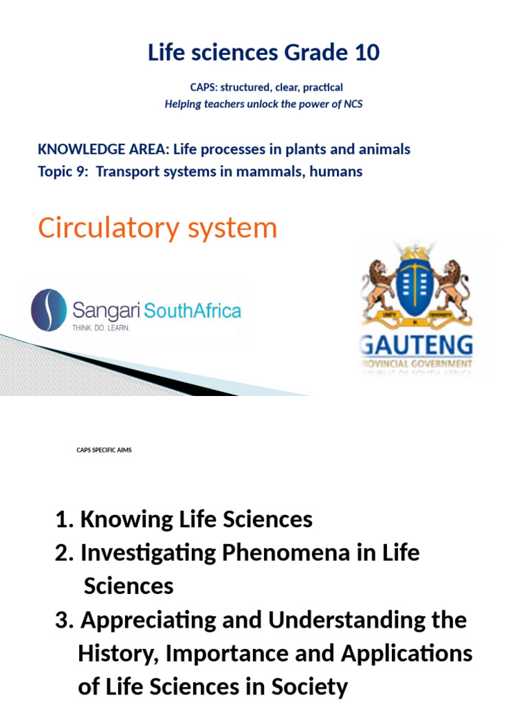 PP14. Circulatory System | PDF | Heart | Atrium (Heart)