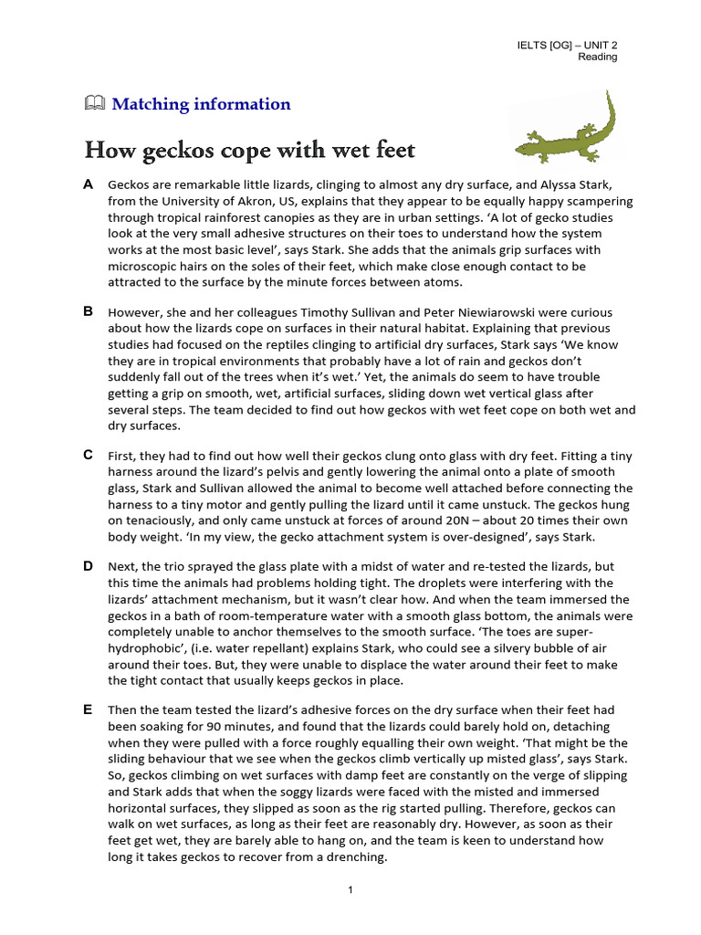 Geckos' Grip on Wet Surfaces Explained | PDF | Lizard