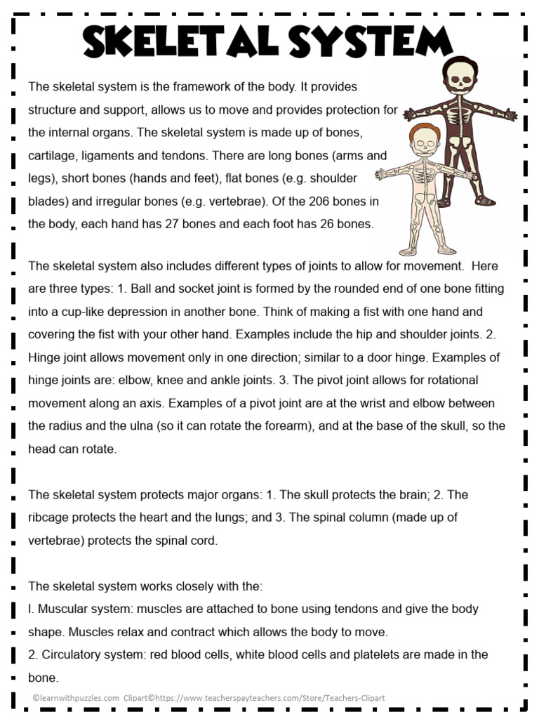 Skeletal System Reading Comprehension 01 | PDF