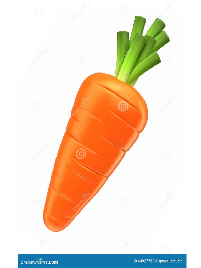 Carrot | PDF