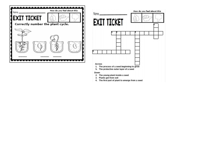 Germination Exit Ticket 2 | PDF