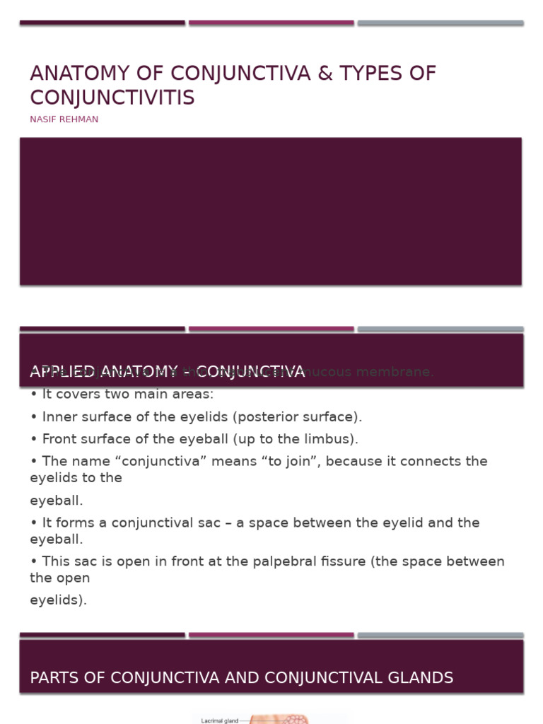 Anatomy of Conjunctiva & Types of Conjunctivitis | PDF | Epithelium | Anatomy