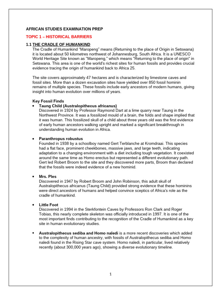 African Studies Examination Prep | PDF | Pan Africanism | Slavery