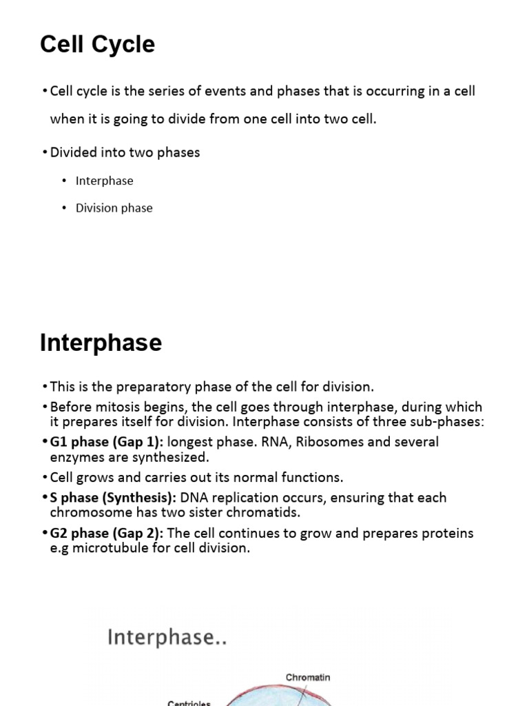 Cell Division Mitosis Meiosis | PDF | Meiosis | Mitosis