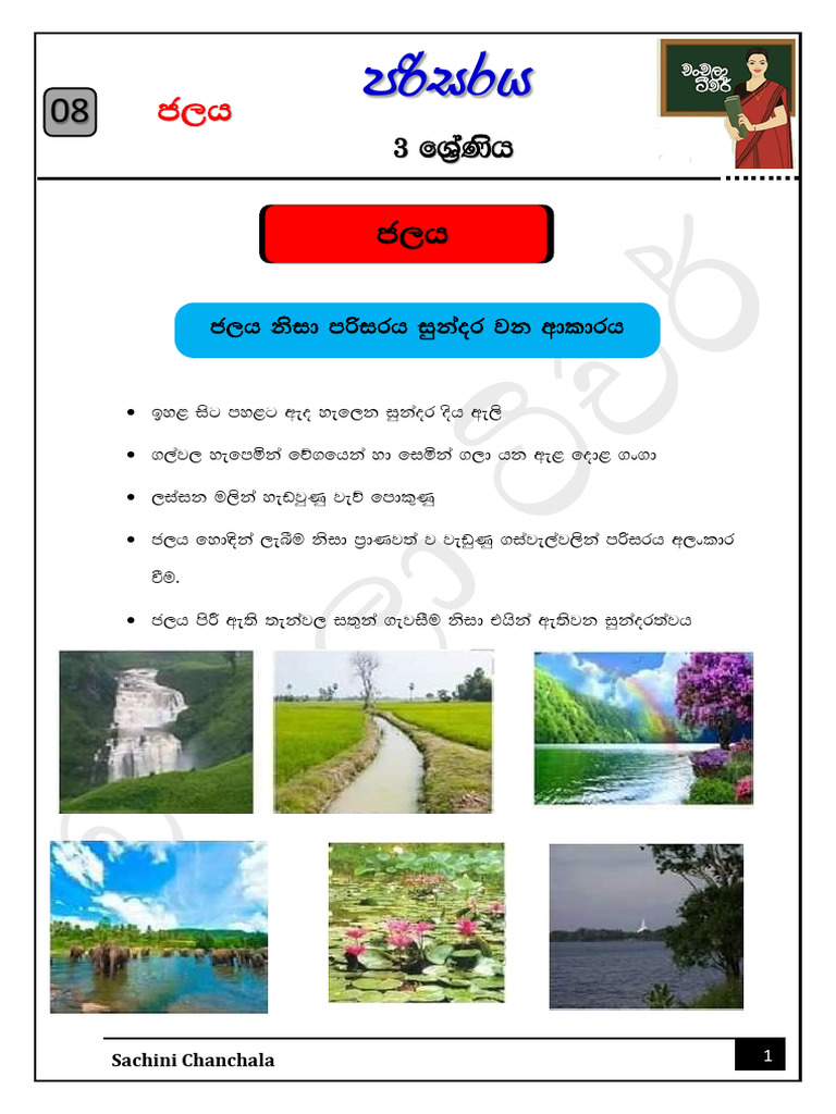 Grade 03 - Parisaraya 08 (1) | PDF