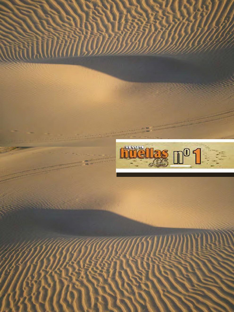 Espiro Nicolas - Revista Huellas - Instituciones y Grupos | PDF | Institución | Psicoanálisis